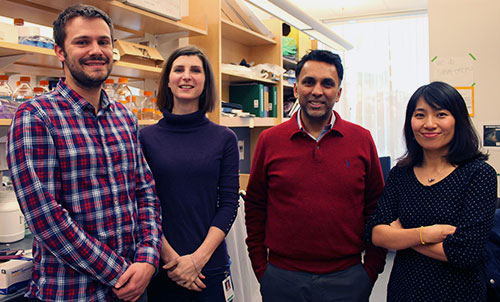 HIP Mentor Spotlight with Amar Sahay | Harvard Stem Cell Institute (HSCI)