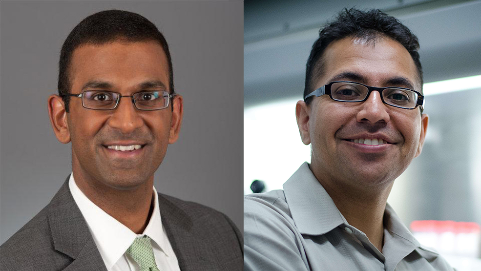 HSCI scientists recognized as leaders in stem cell biology | Harvard ...
