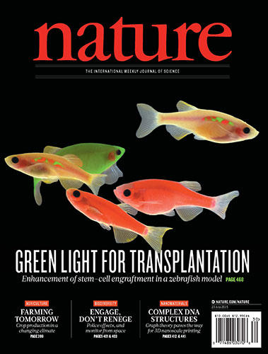 Zebrafish reveal drugs that may improve bone marrow transplant ...